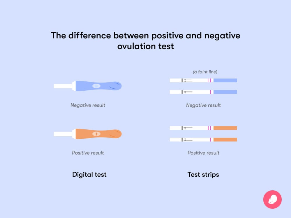Will my ovulation test be positive if I’m pregnant? | Flo