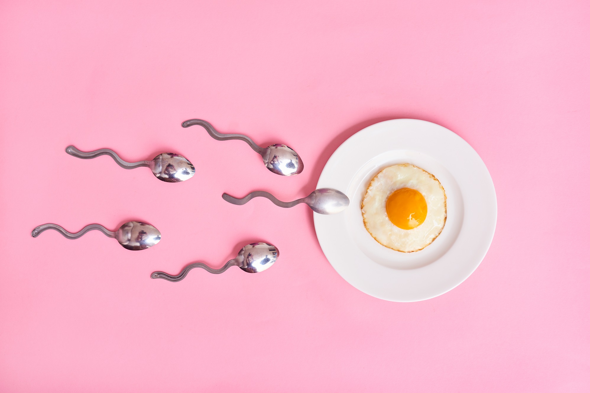 What Is Ovulation? Symptoms, Tracking, and Disorders
