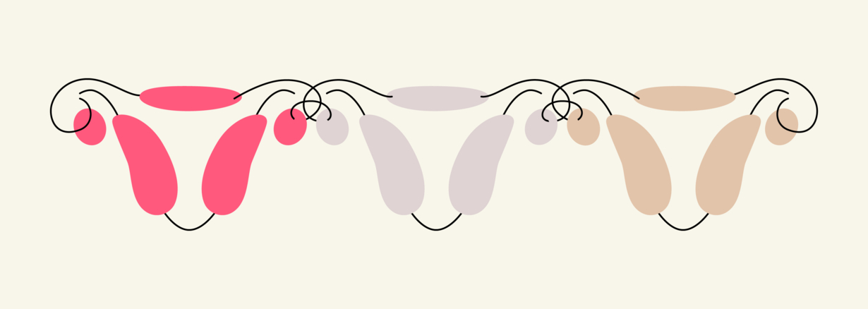 Menstrual Synchrony: Do Girls’ Periods Really Sync?